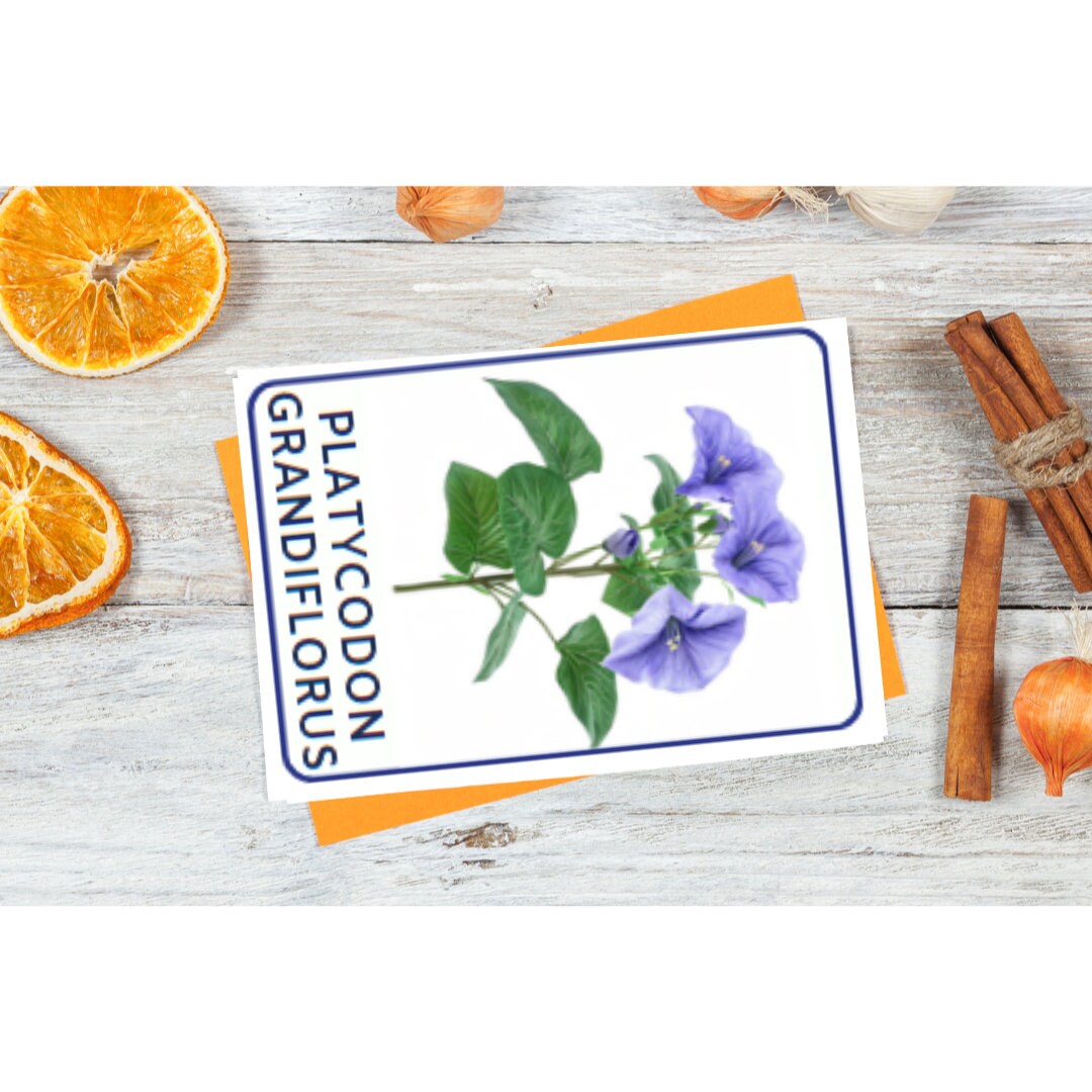 Title: Discover Plants Types With 32 Montessori Flash Cards ...