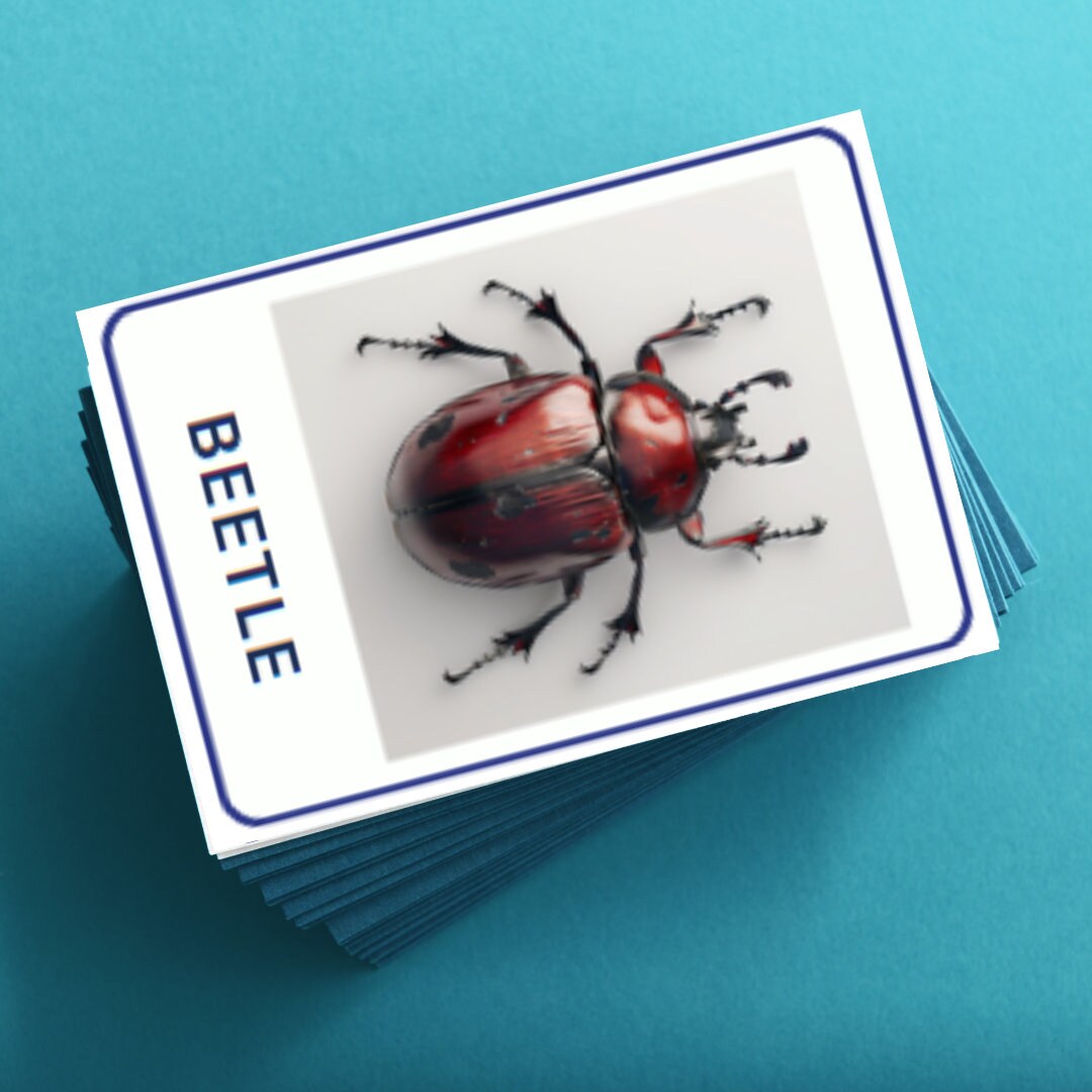 32 PNG Montessori Insects Types Flashcards, Toddlers Activity ...