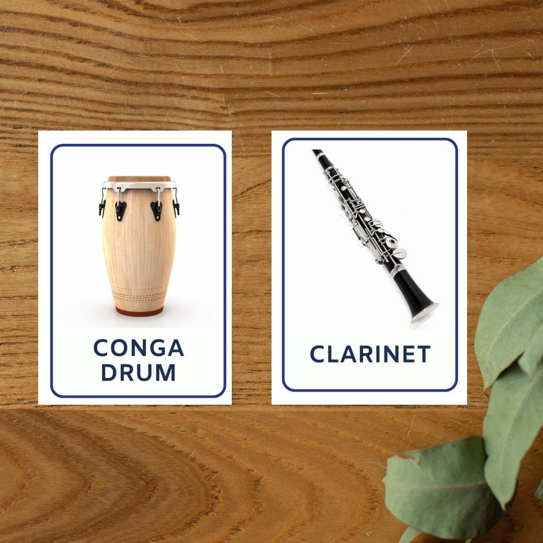 Musical Instruments 32 Editable Montessori Cards, Flash Cards ...