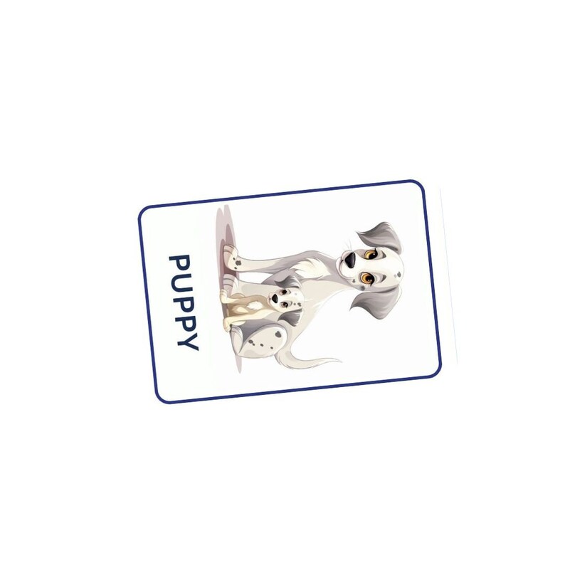 Introduce Baby Animals With 32 Printable Flash Cards, Mix and Match ...