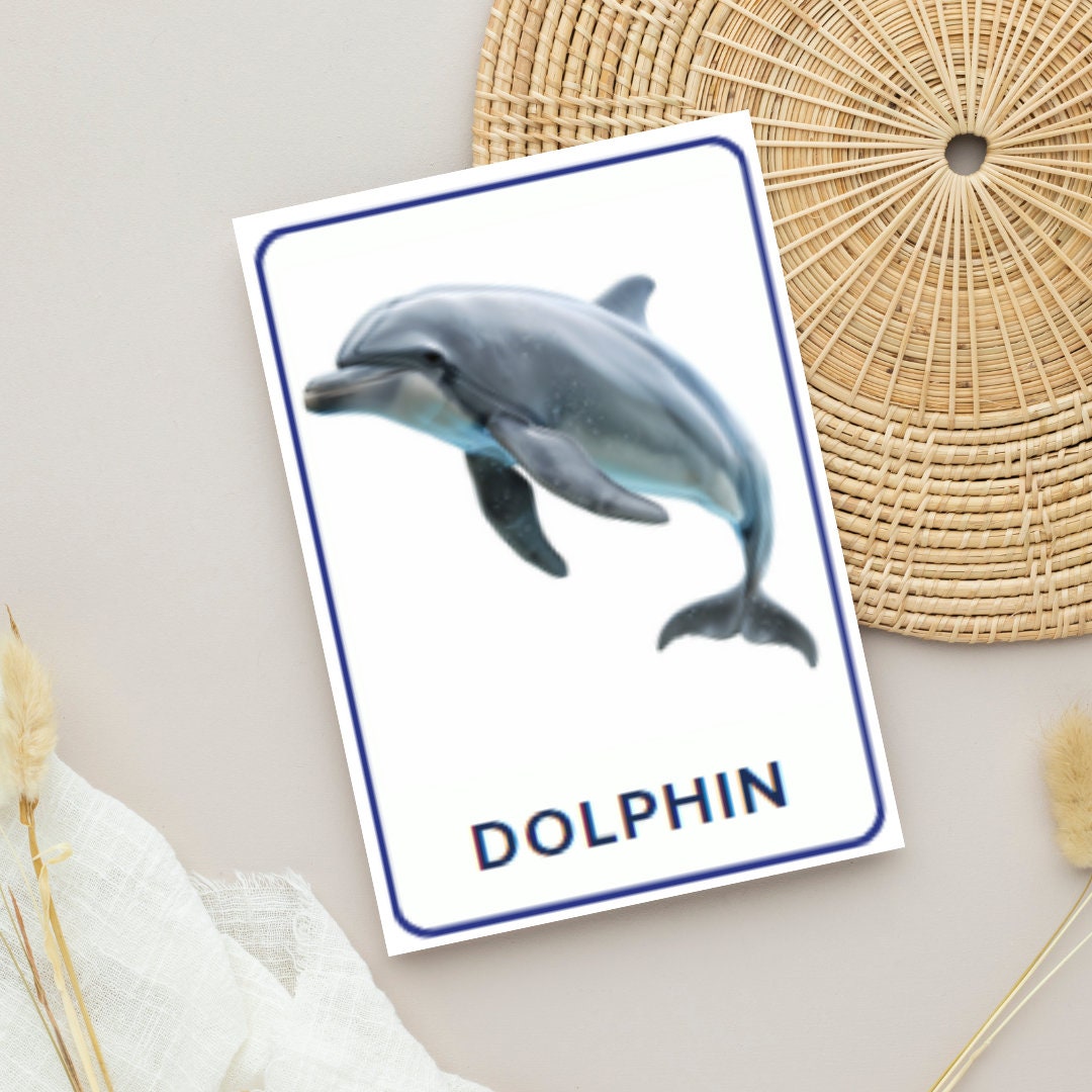 32 PNG Montessori Ocean Animals Flashcards, Toddler Activitiy ...