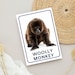Explore 32 Monkey Species Flashcards Designed for Children, Monkey ...