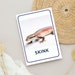 32 Amphibians and Reptiles Photo Flashcards: Amphibians and Reptiles ...