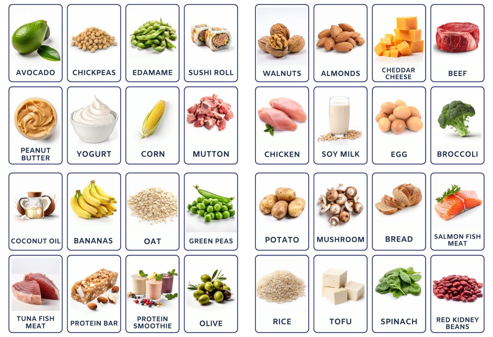 Boost Knowledge With Protein Foods, 32 Editable Montessori Cards for ...