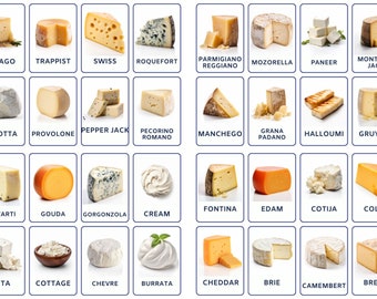 Cheese 32 Montessori Cards, Flash Cards Nomenclature Flashcards ...