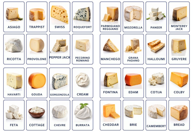 Cheese 32 Montessori Cards, Flash Cards Nomenclature Flashcards ...