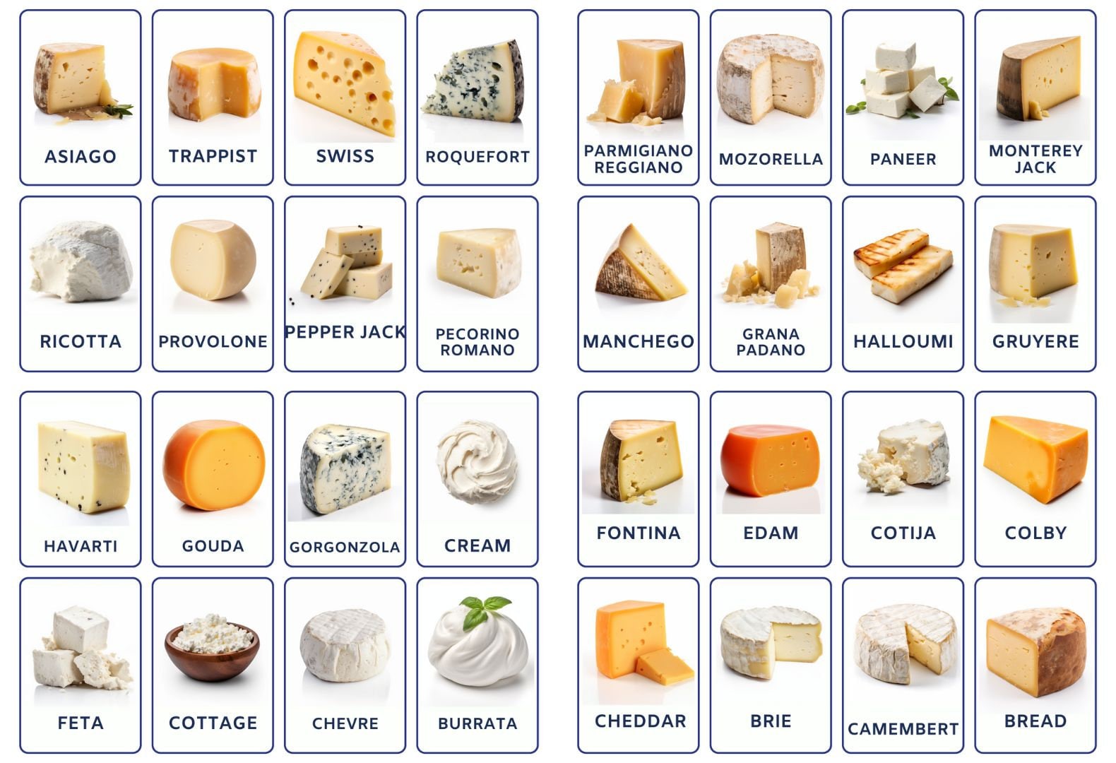 Cheese 32 Montessori Cards, Flash Cards Nomenclature Flashcards ...