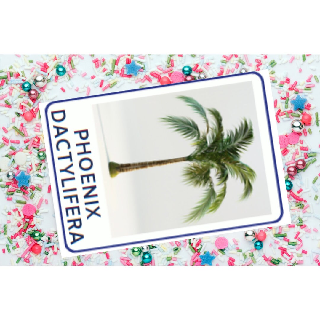 Title: Discover Plants Types With 32 Montessori Flash Cards ...