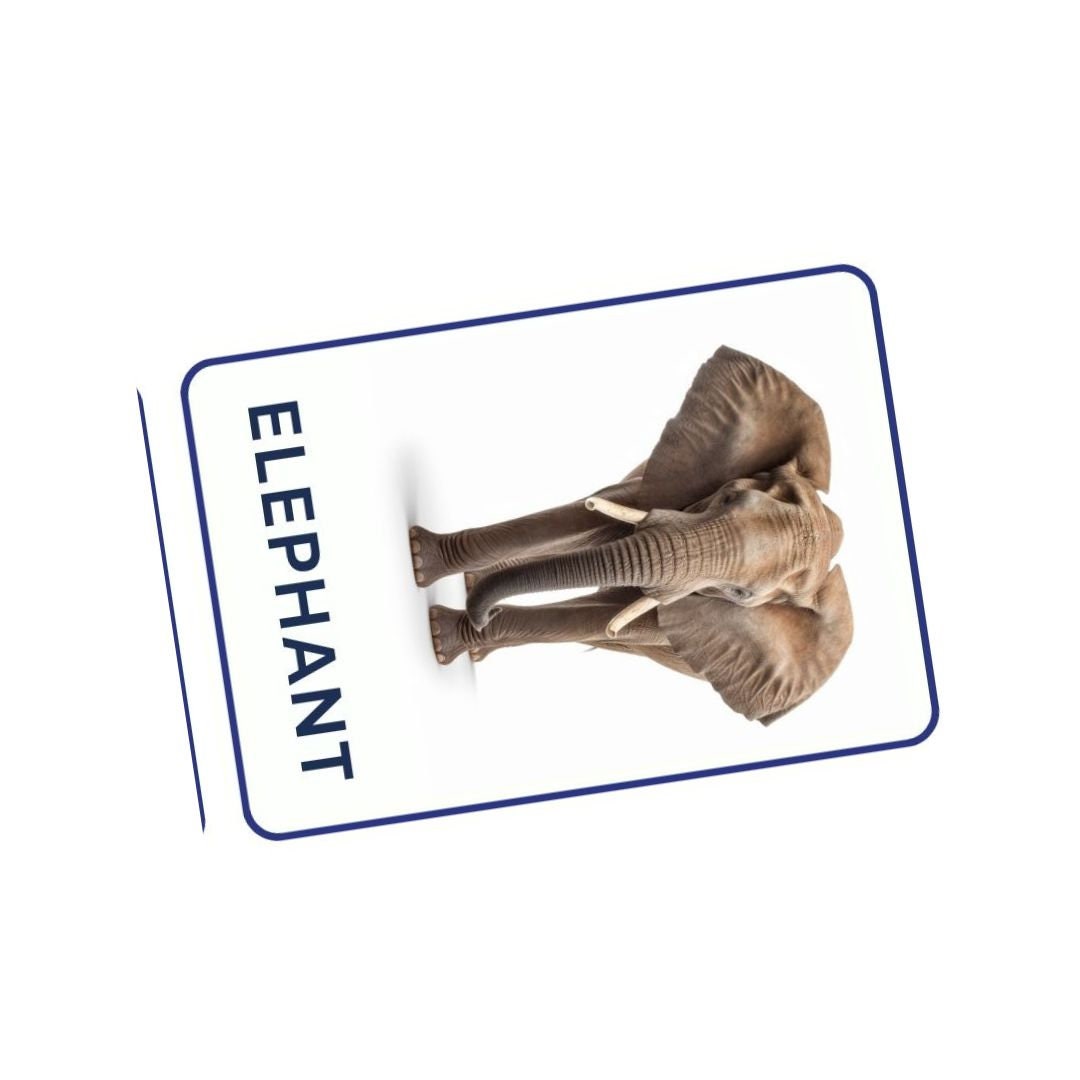 32 Living & Non Living Things Flashcards, Kids Printable, Nomenclature ...