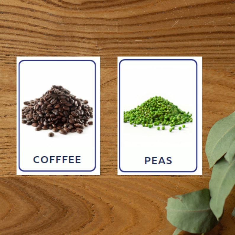 32 PNG Montessori Seeds Types Flashcards, Toddler Activity ...