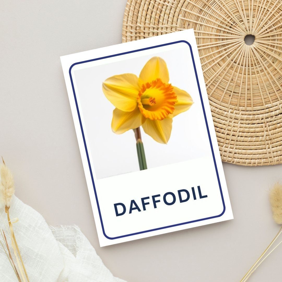 32 Flowers Flashcards, Image Cards for Kids, Preschoolers, Nomenclature ...