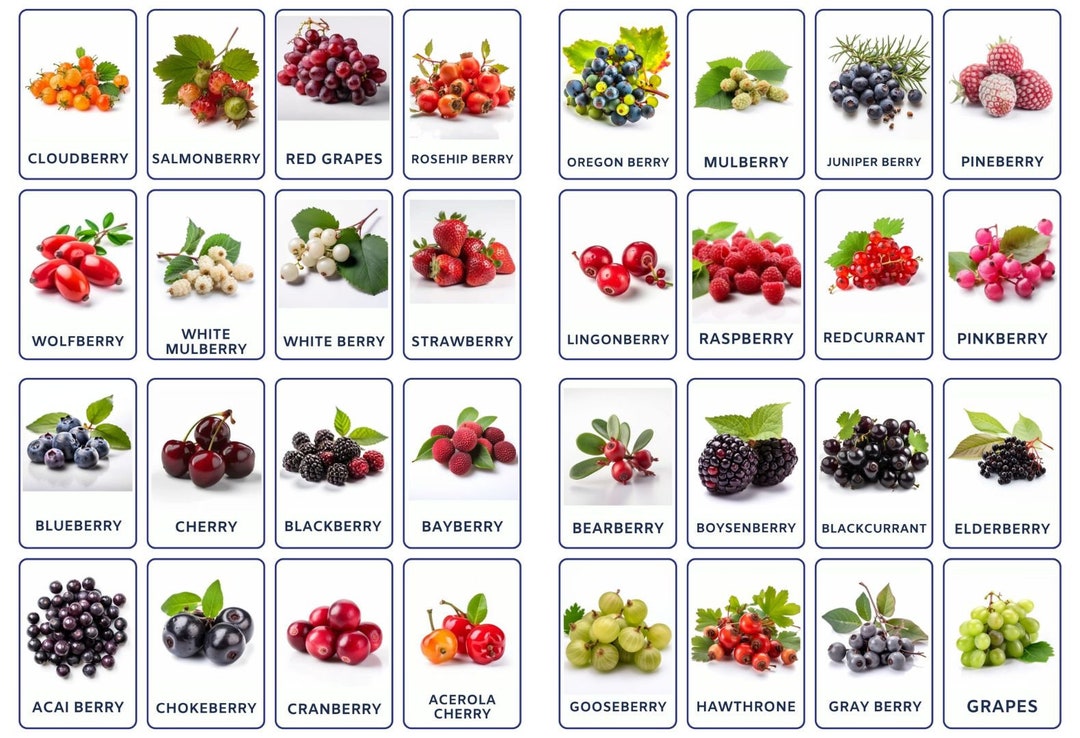 Enhance Learning With Montessori Berries 32 Flashcards, Perfect for ...