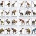 32 Jurassic Dinosaur Flashcards, Kids Printable, Nomenclature Cards ...