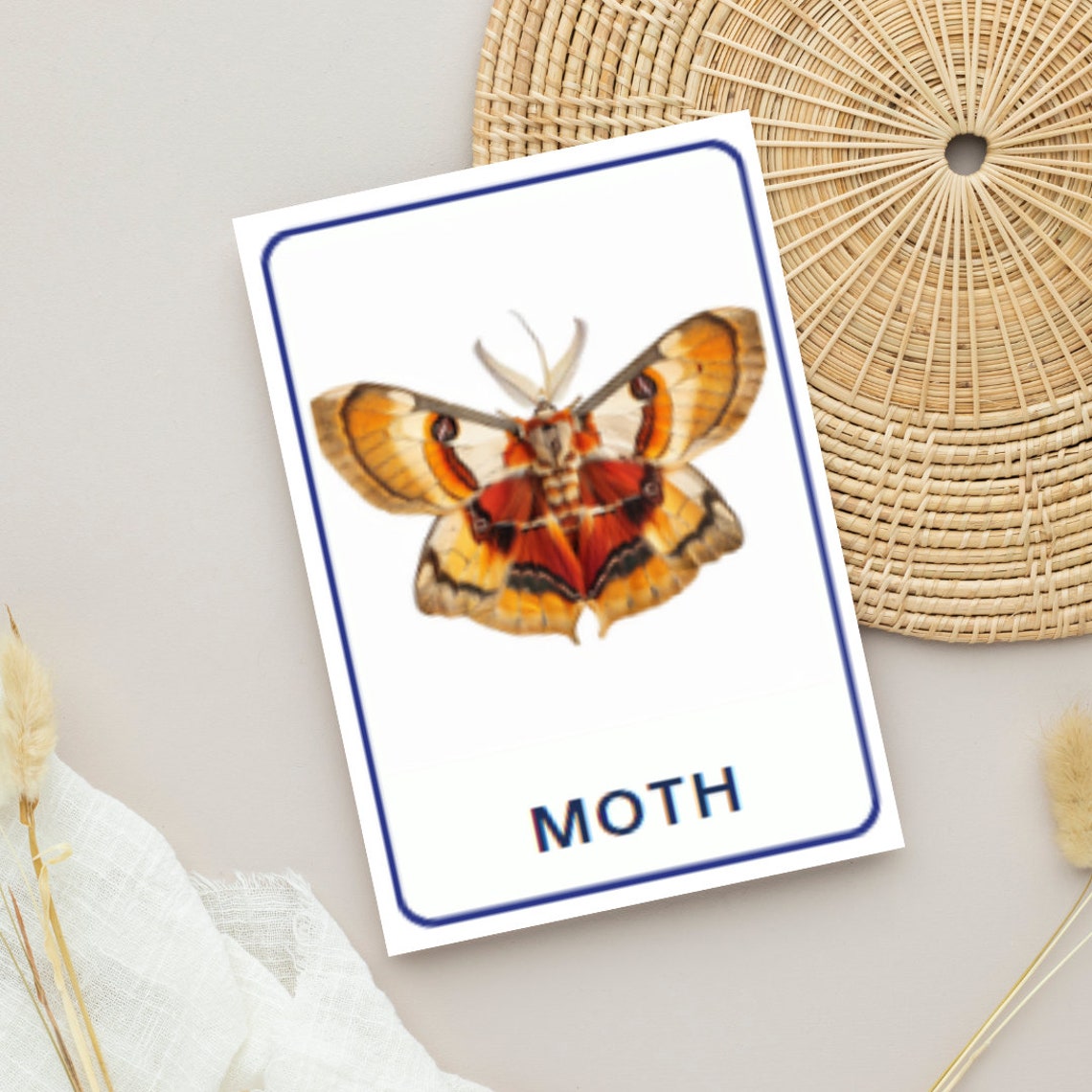 32 PNG Montessori Insects Types Flashcards, Toddlers Activity ...