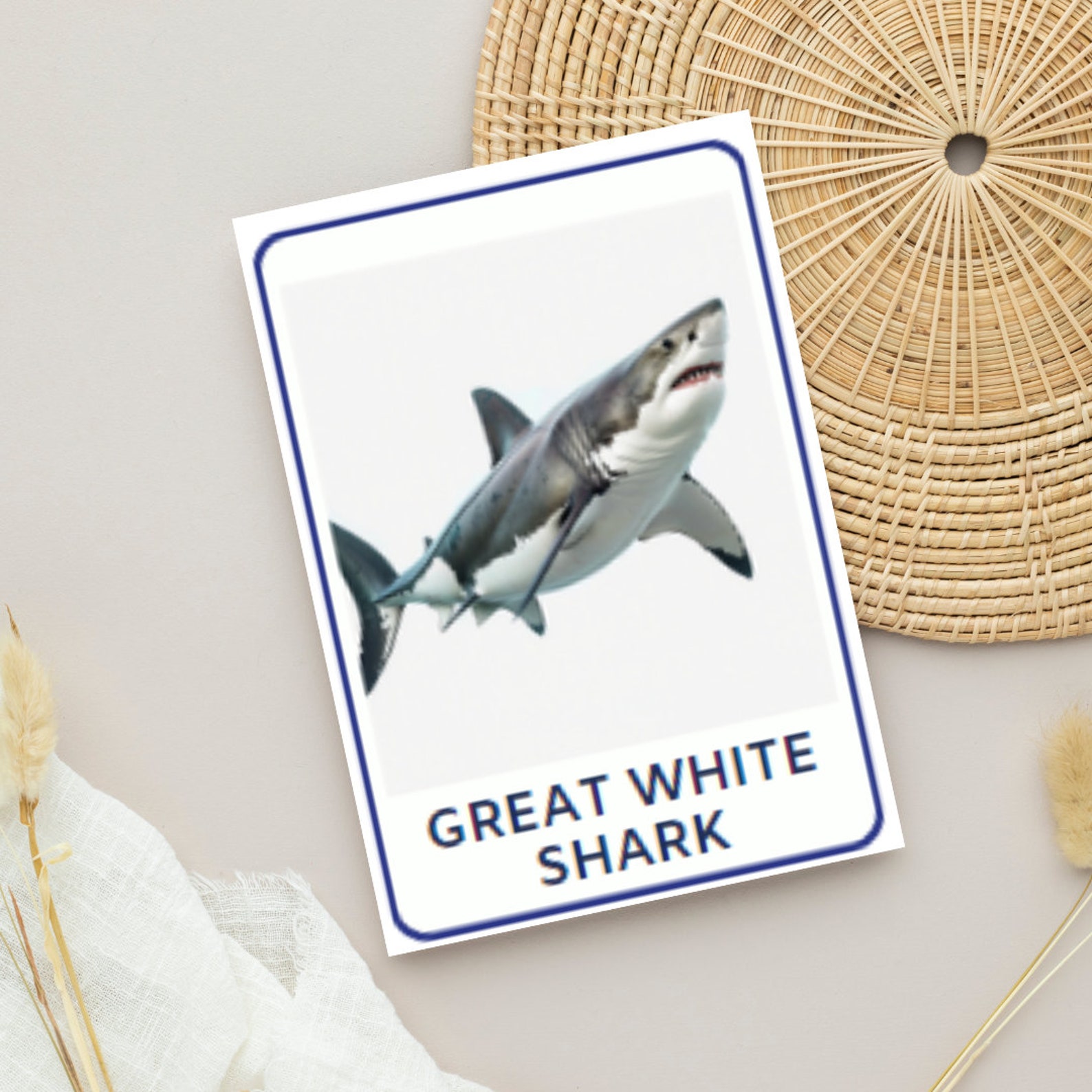 Perfectly Adorable, 32 Fish Species Flashcards for Kids and Toddlers ...