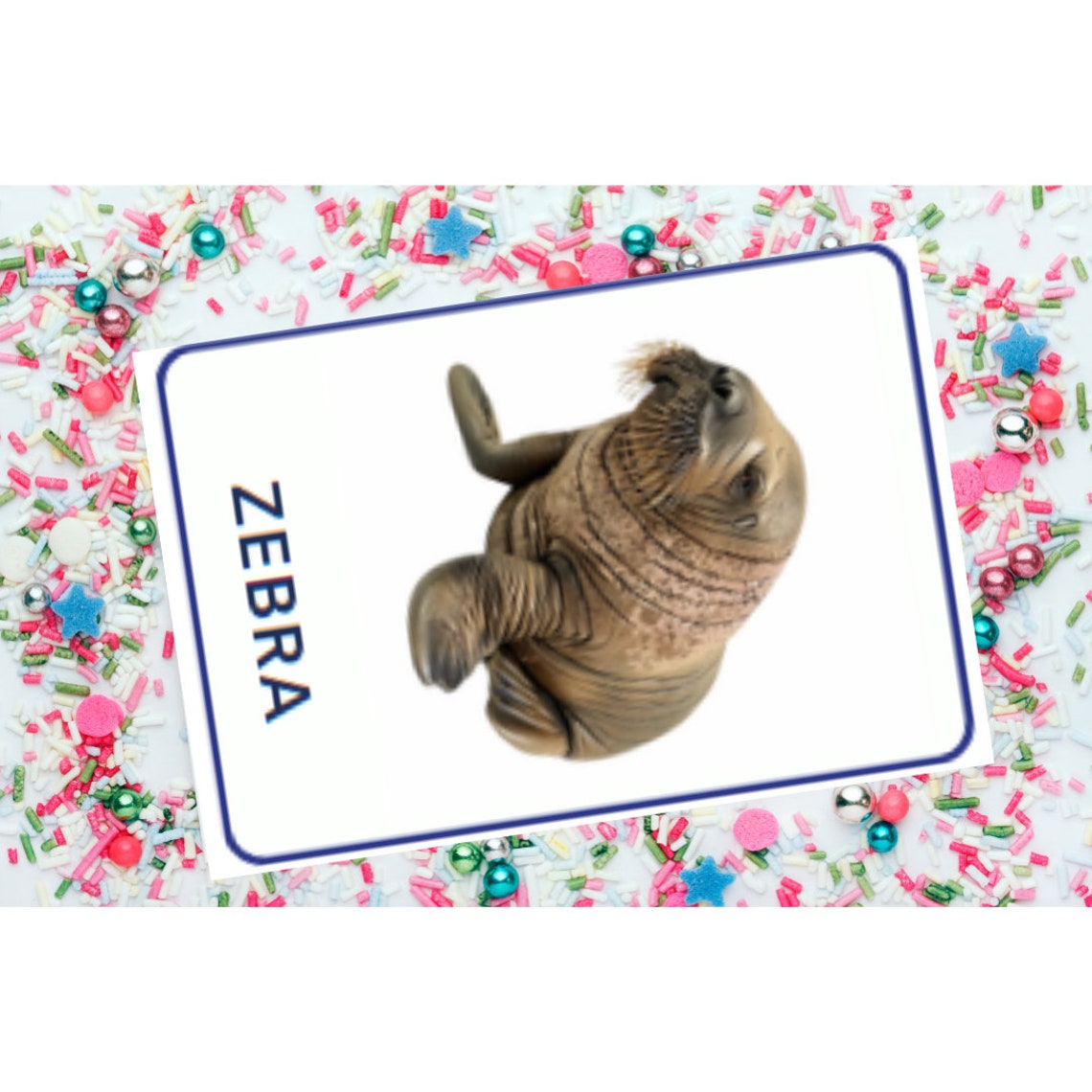 32 Baby Animals Flashcards Designed for Children, Toddler Activity ...