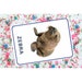 32 Baby Animals Flashcards Designed for Children, Toddler Activity ...