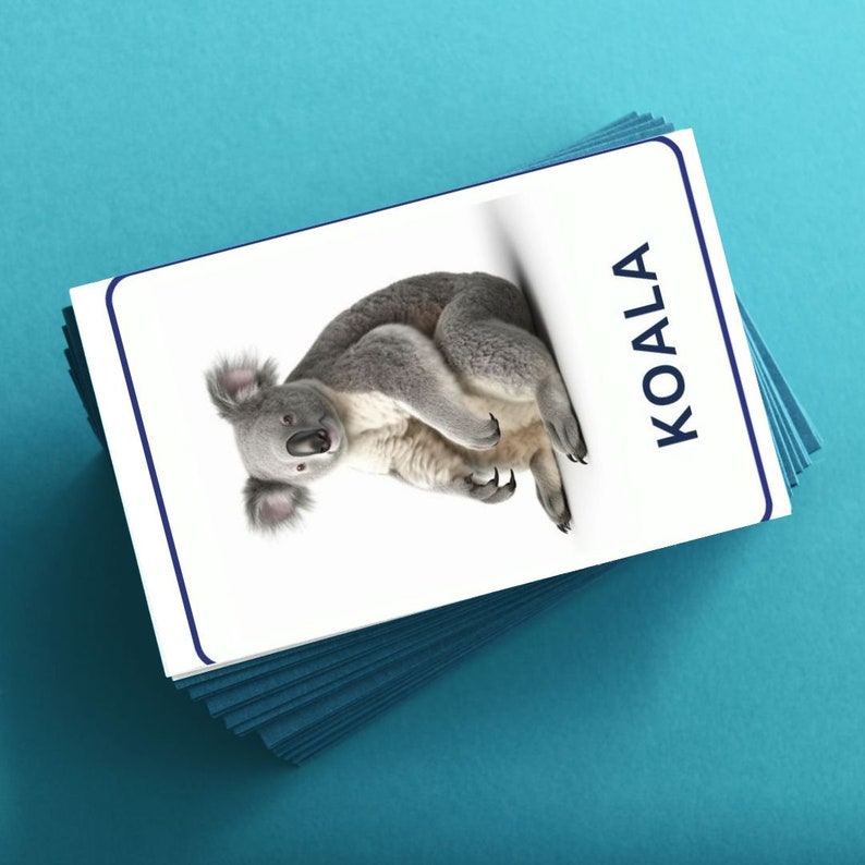 32 Forest Animals Flashcards, Kids Printable, Nomenclature Cards ...