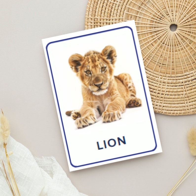32 Baby Animals Flashcards Designed for Children, Toddler Activity ...