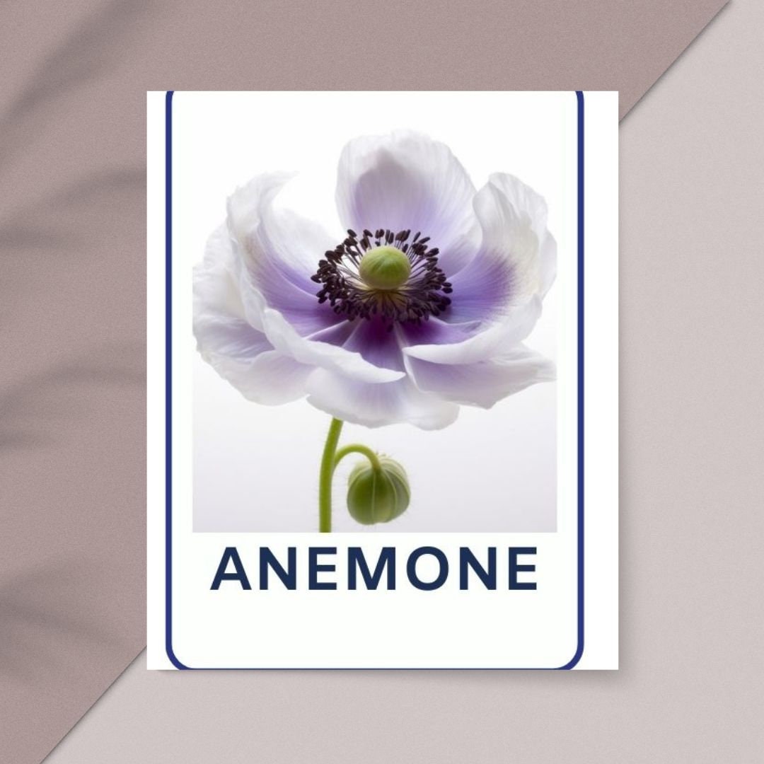 32 Flowers Flashcards, Image Cards for Kids, Preschoolers, Nomenclature ...