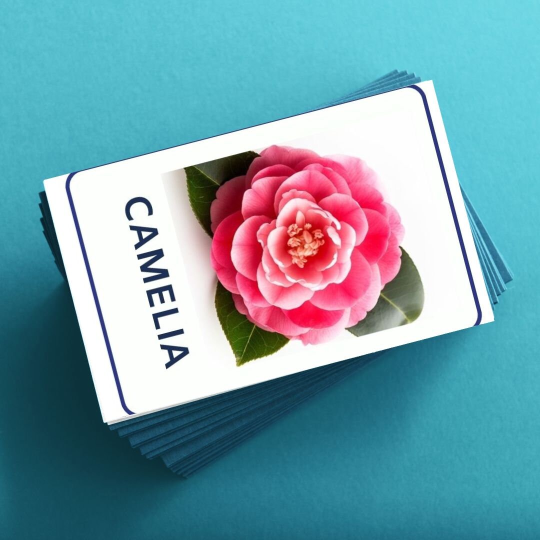 32 Flowers Flashcards, Image Cards for Kids, Preschoolers, Nomenclature ...