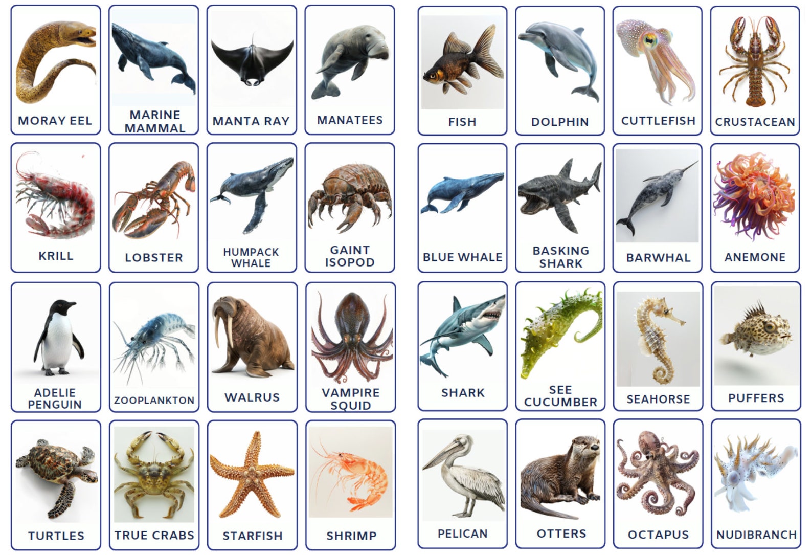 32 PNG Montessori Ocean Animals Flashcards, Toddler Activitiy ...