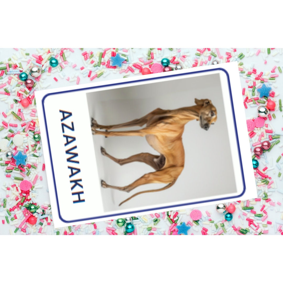 32 PNG Dog Species Flashcards for Kids and Toddlers, Montessori ...