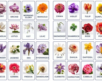 32 Flowers Flashcards / Image Cards for Kids, Preschoolers ...
