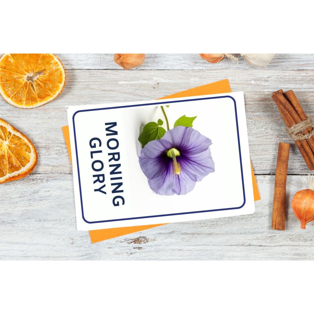 32 Flowers Flashcards, Image Cards for Kids, Preschoolers, Nomenclature ...