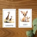 Introduce Baby Animals With 32 Printable Flash Cards, Mix and Match ...