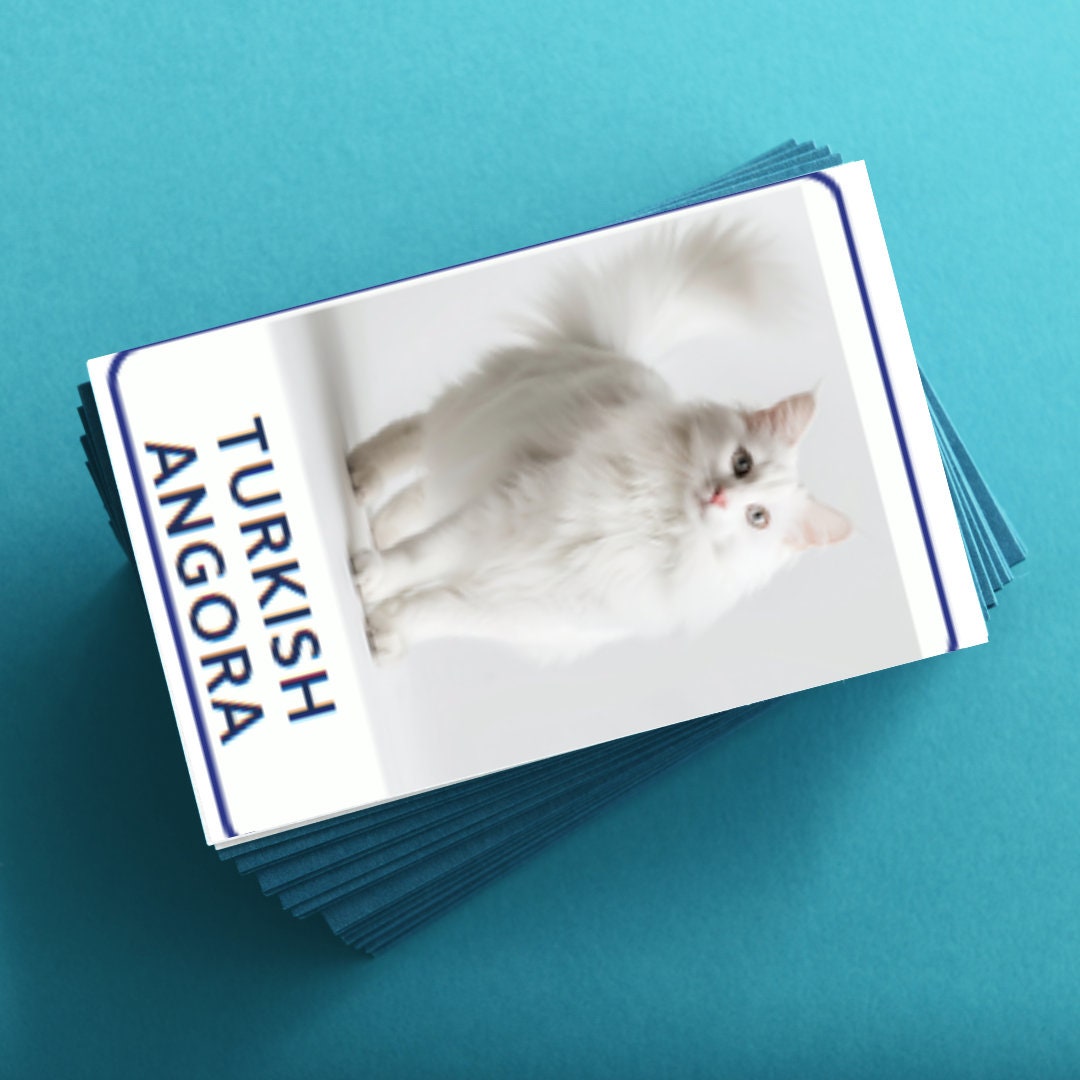 Perfectly Adorable, 32 Cat Species Flashcards for Kids and Toddlers ...