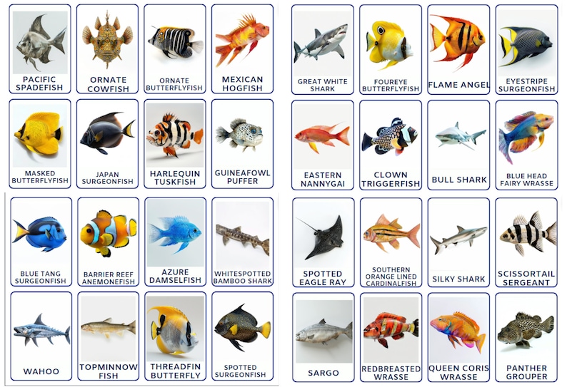 Perfectly Adorable, 32 Fish Species Flashcards for Kids and Toddlers ...