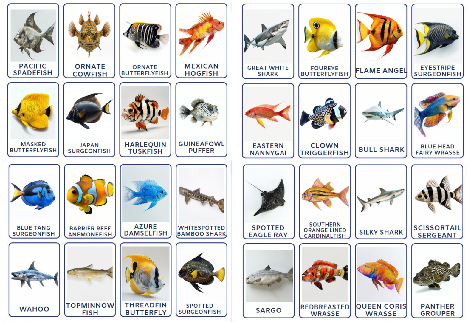 Perfectly Adorable, 32 Fish Species Flashcards for Kids and Toddlers ...