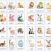Introduce Baby Animals With 32 Printable Flash Cards, Mix and Match ...