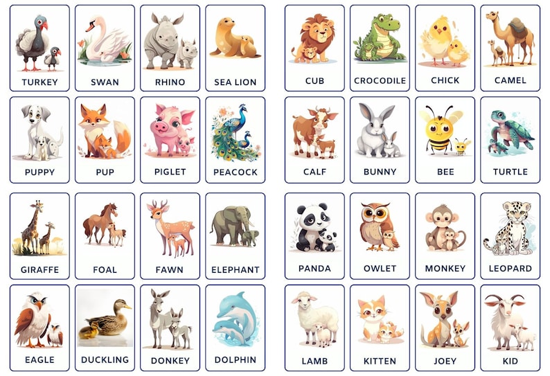 Introduce Baby Animals With 32 Printable Flash Cards, Mix and Match ...