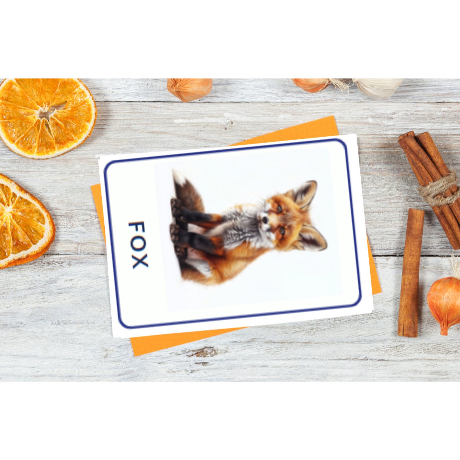 32 Baby Animals Flashcards Designed for Children, Toddler Activity ...