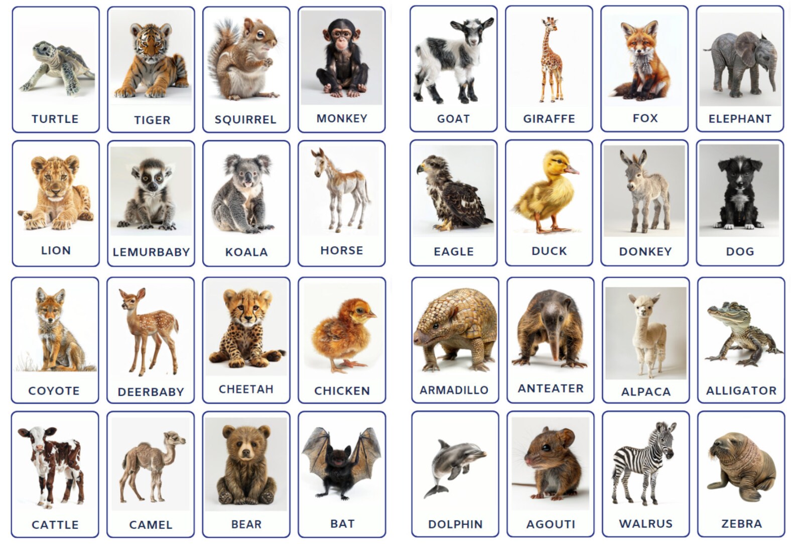 32 Baby Animals Flashcards Designed for Children, Toddler Activity ...