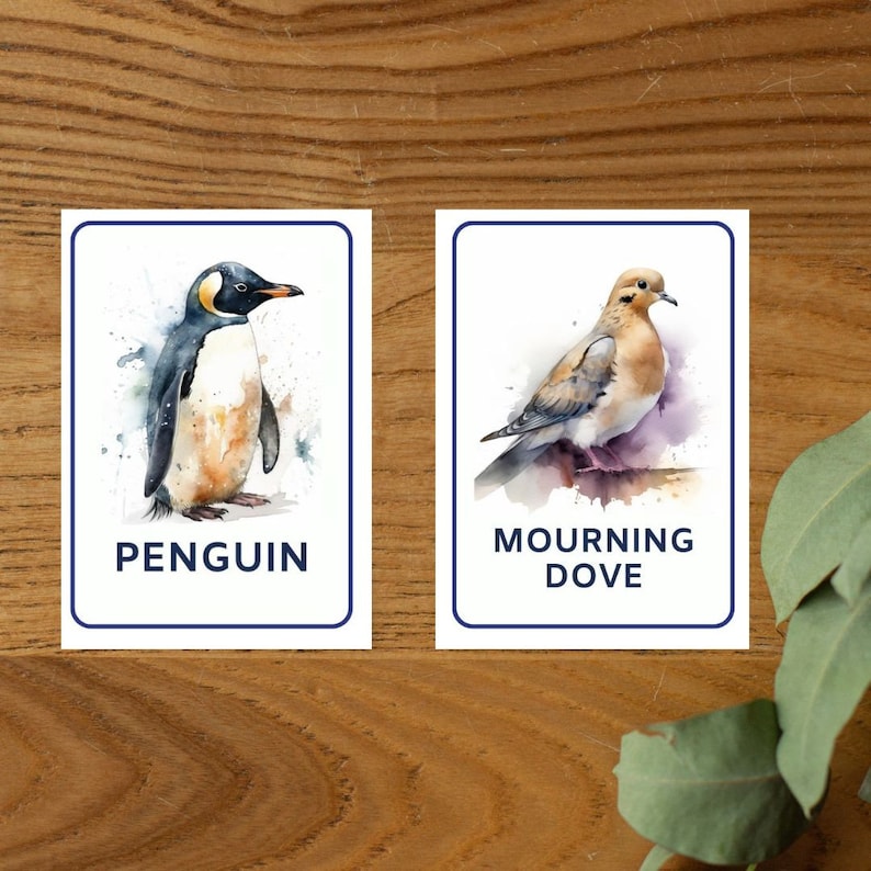 32 Birds Printable Flashcards Toddlers, Image Cards for Kids, Printable ...