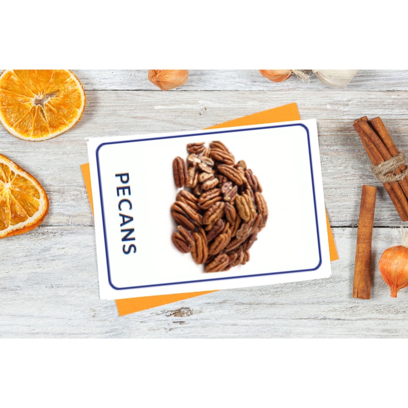 32 PNG Montessori Seeds Types Flashcards, Toddler Activity ...