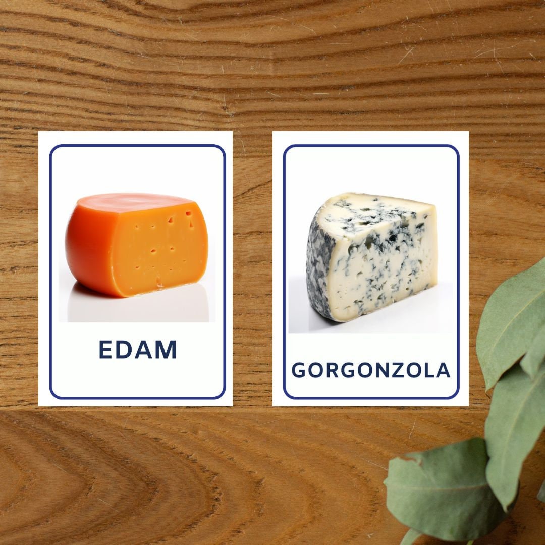 Cheese 32 Montessori Cards, Flash Cards Nomenclature Flashcards ...