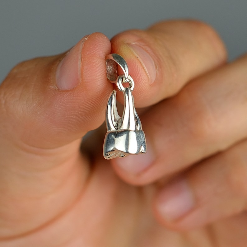 Sterling Silver Tooth Locket Necklace: Handmade Oddities Jewelry - Etsy