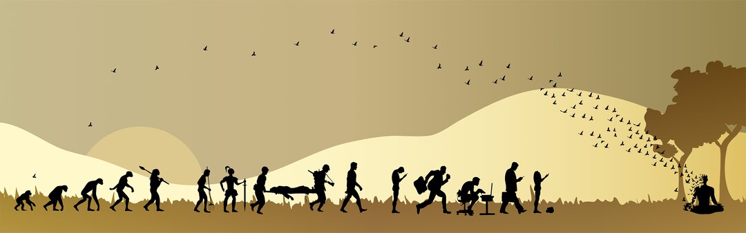 Human Evolution Wall Art - Etsy