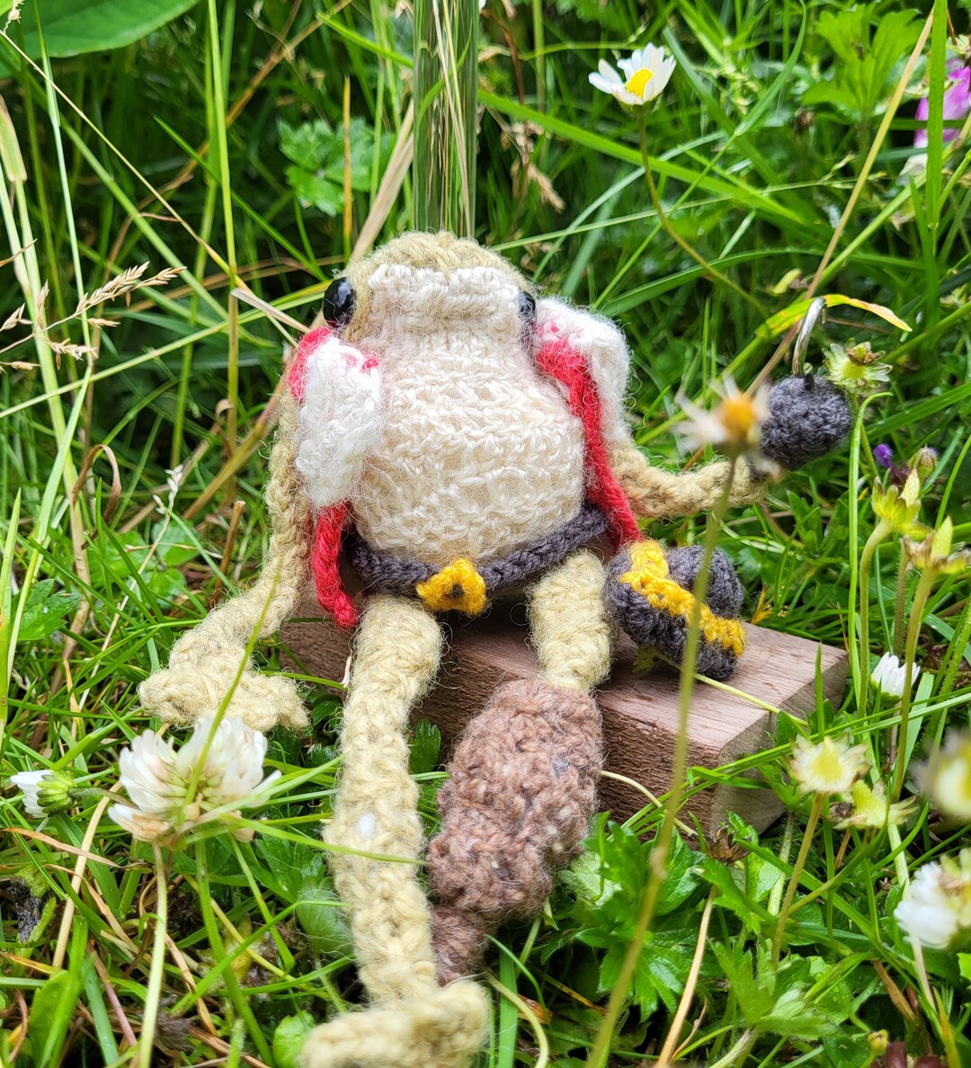 Pirate Crochet Frog Display Peice - Etsy