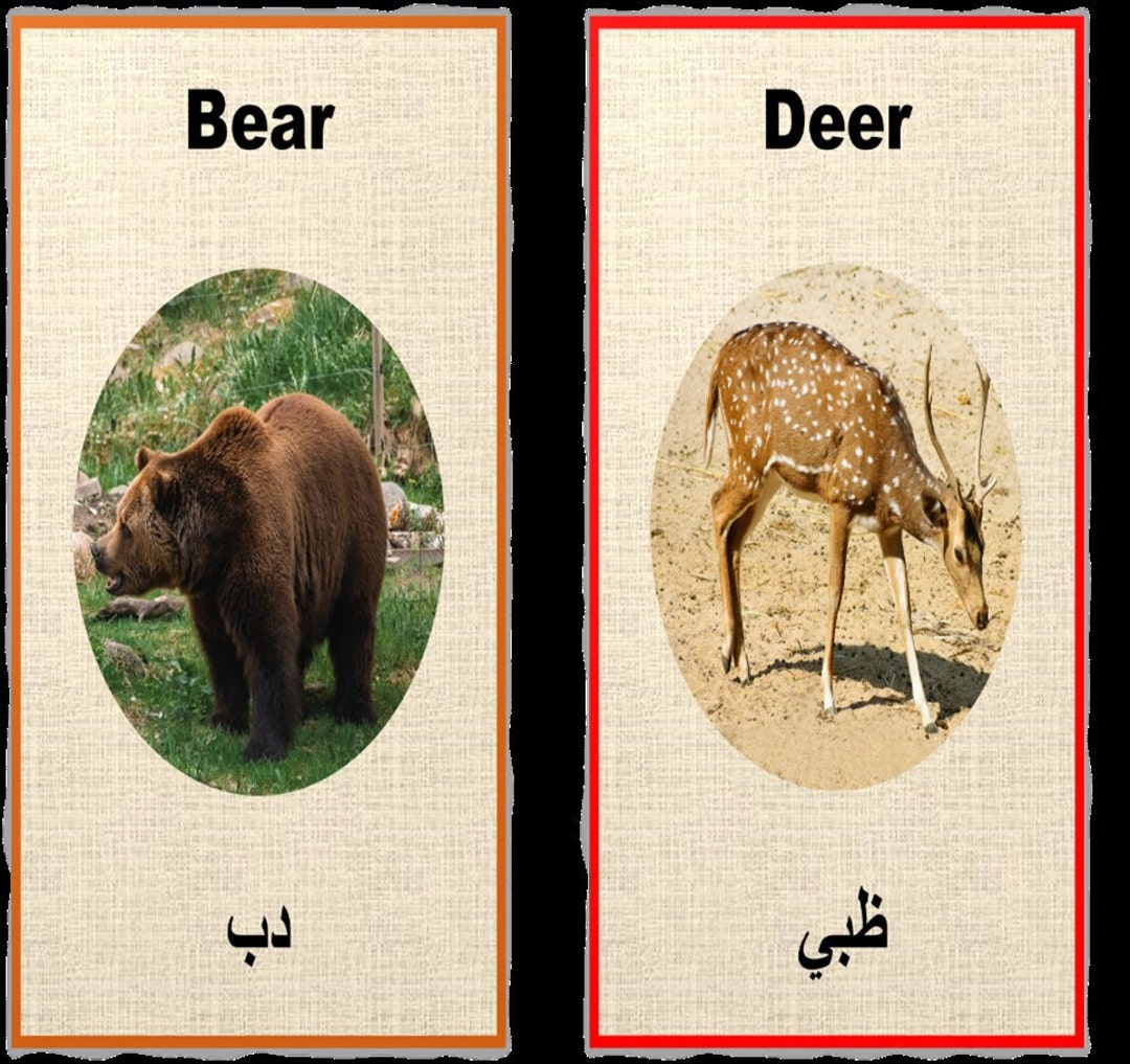 Arabic-english Animal Printable Flashcards - Etsy