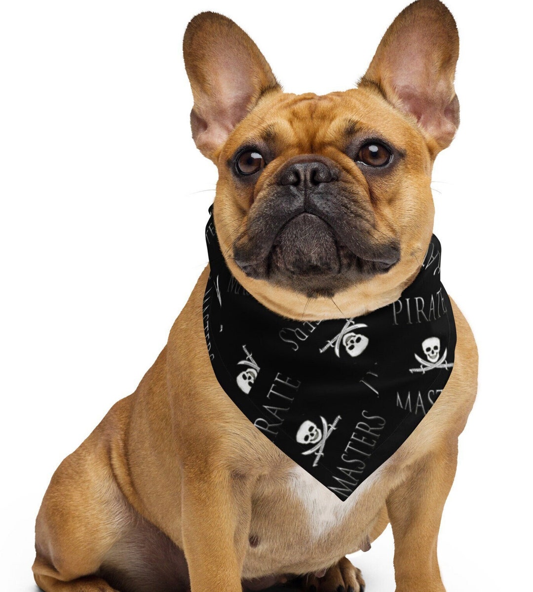 Pirate Masters Skull and Cross Swords All-over Print Bandana - Etsy