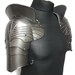 Shoulder Armor Knights Crusader Shoulder Gothic Pair of Pauldrons Steel ...