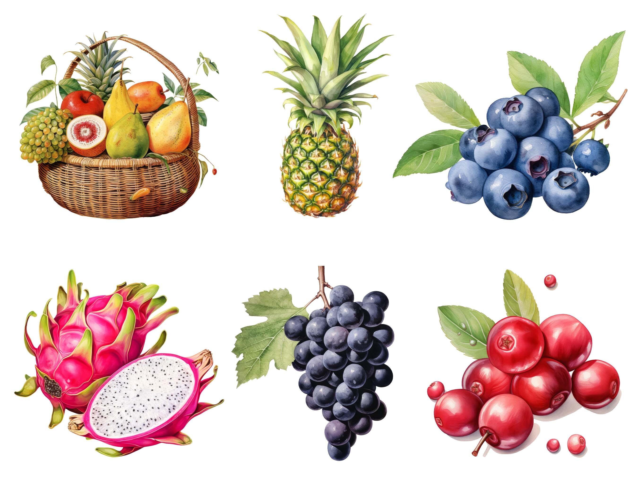 30 Watercolor Fruits Clipart Bundle Sublimation Designs Digital ...