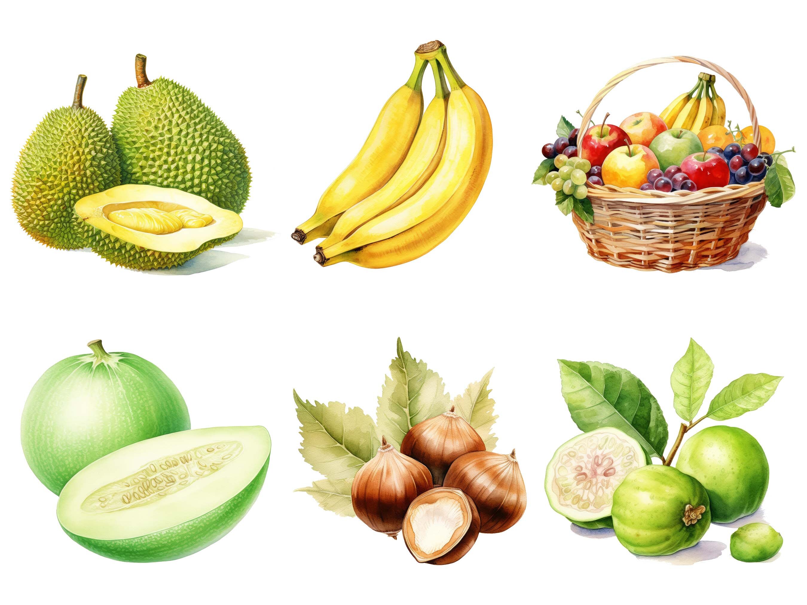 30 Watercolor Fruits Clipart Bundle Sublimation Designs Digital ...