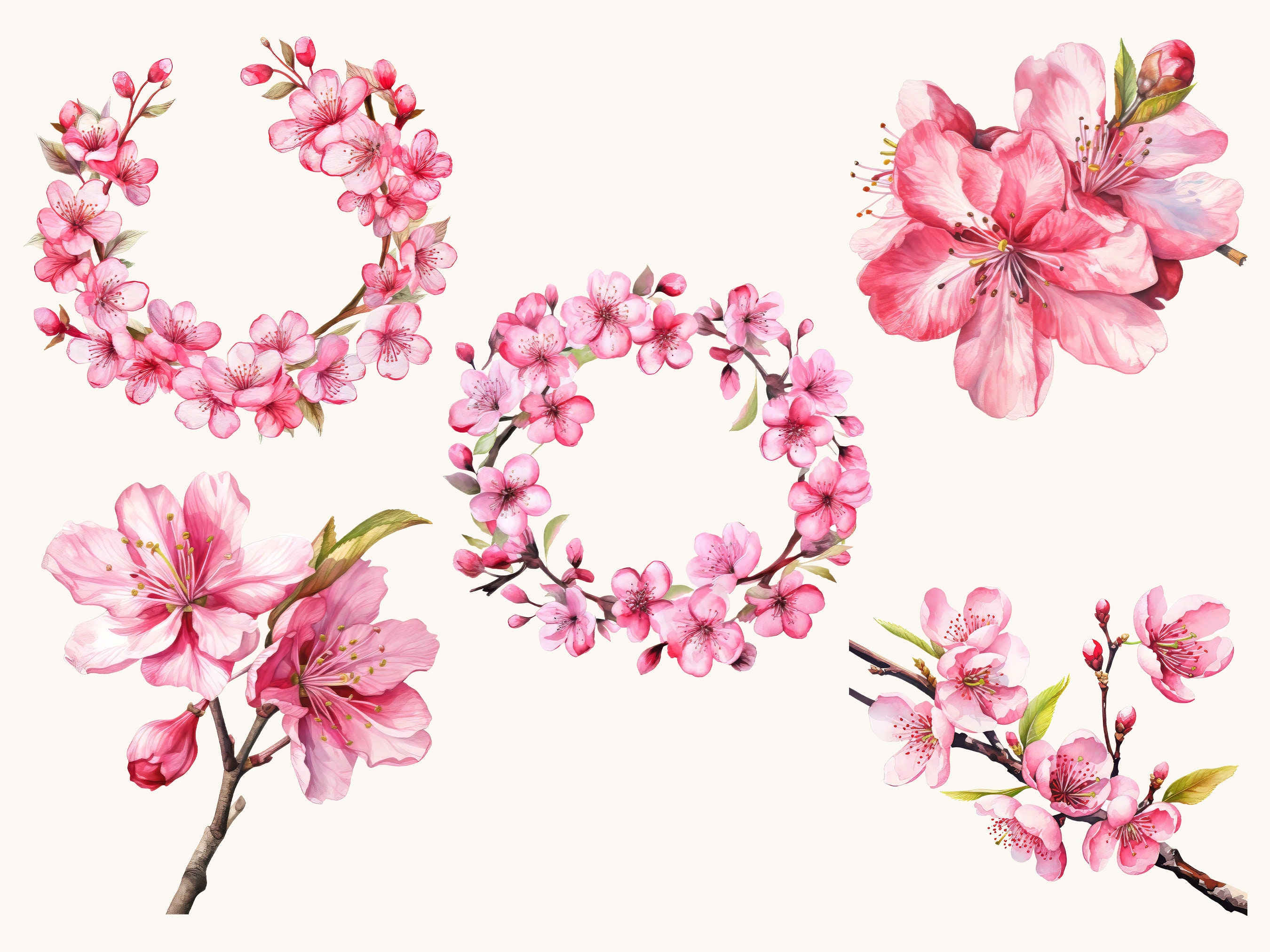 27 Watercolor Cherry Blossom Clipart Bundle Png Designs Digital ...