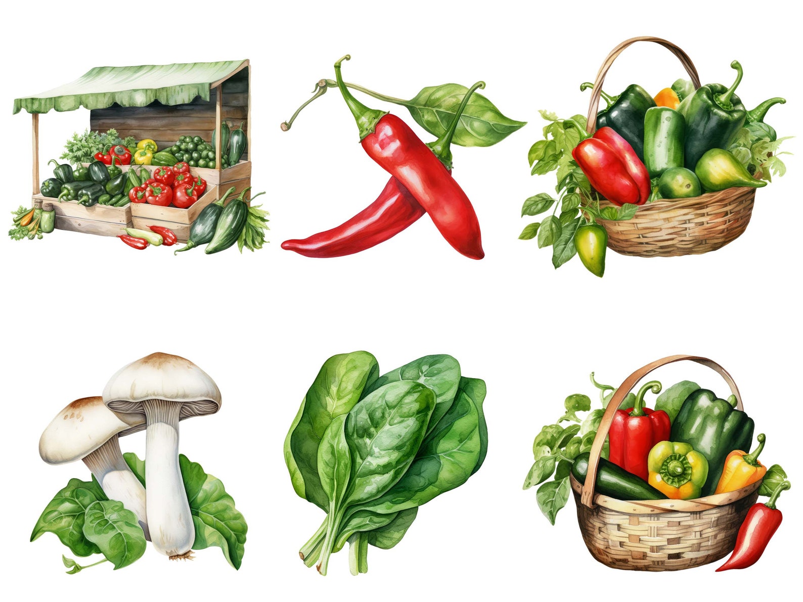 30 Watercolor Vegetables Clipart Bundle Sublimation Designs Digital ...